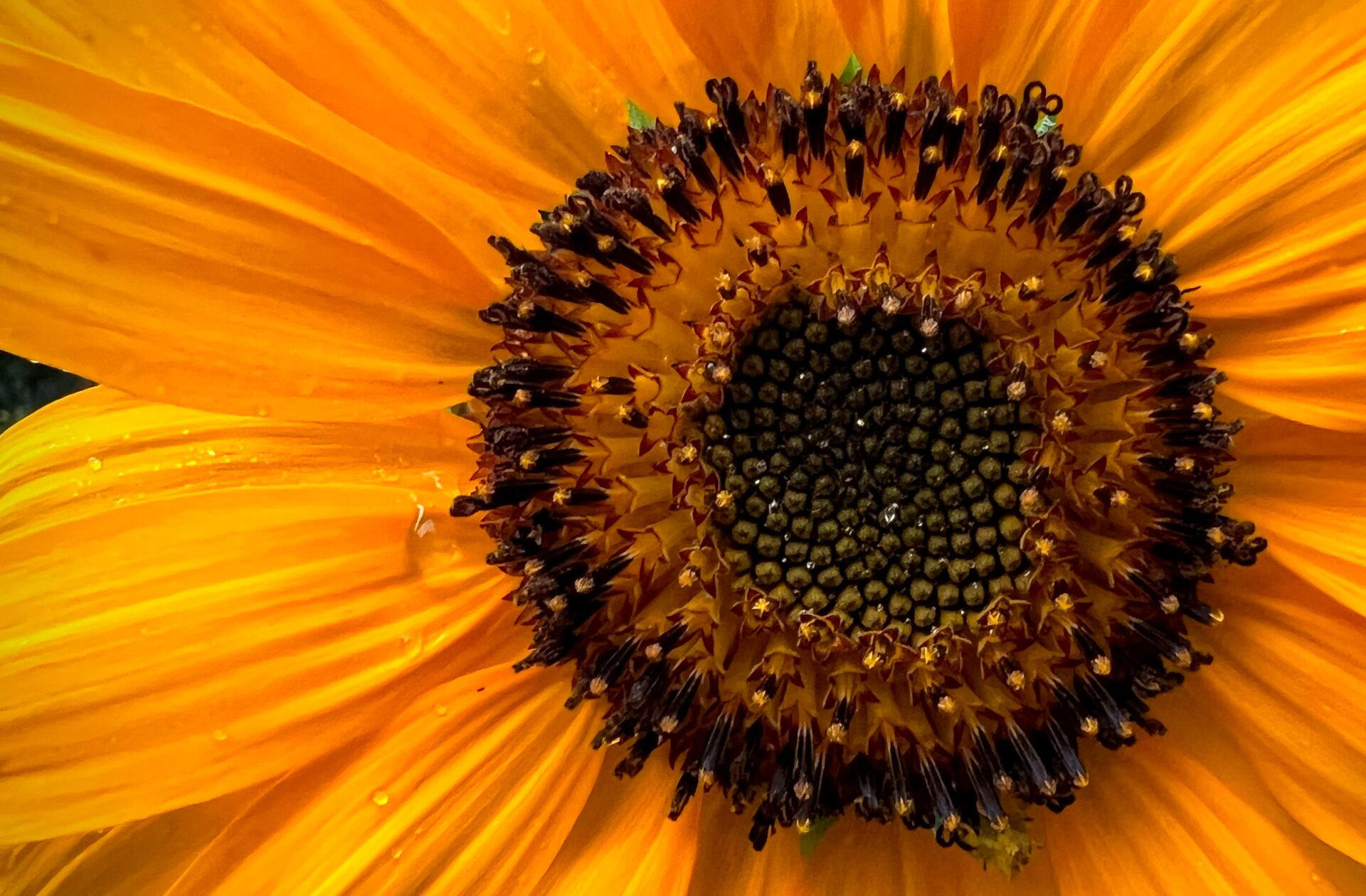 Bind Runes Discover their Simple and Powerful Norse Magic ...